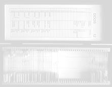 CASK Virtual Microscopy